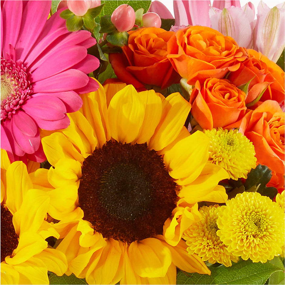 Need flowers delivered today in Houston? Our local florists provide ...